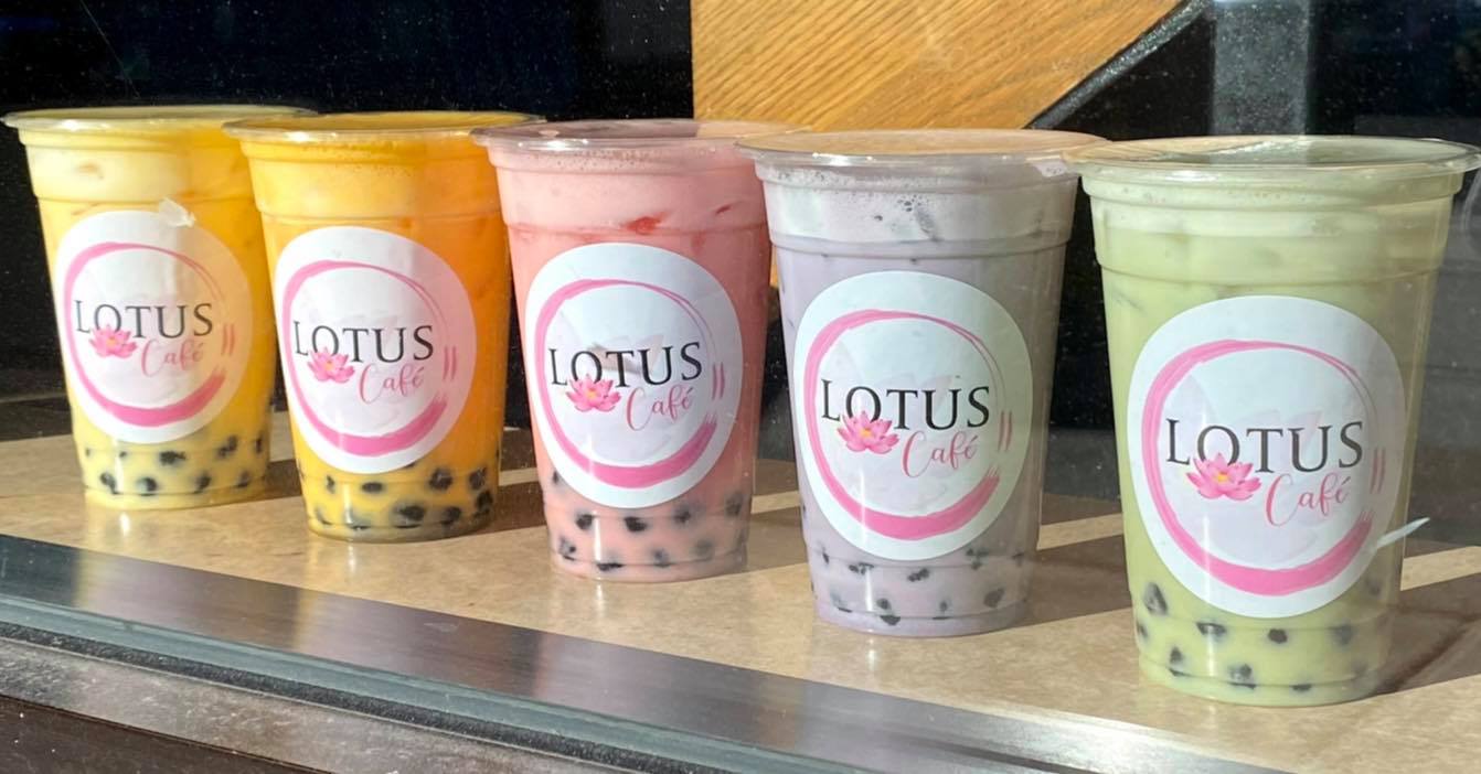 Gallery – Lotus Maple Grove